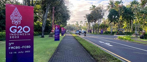Held in Bali, Here are 5 Facts About The G20 Summit