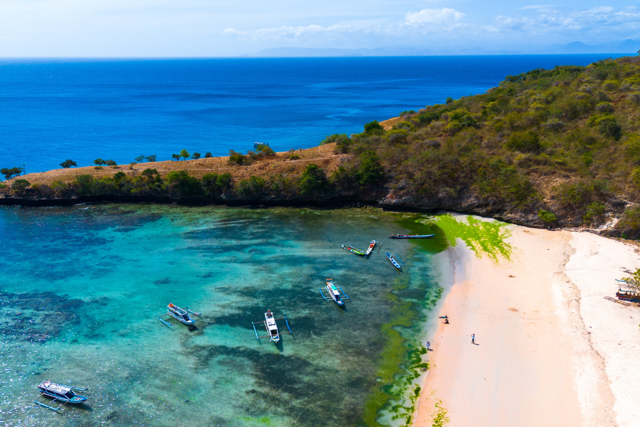 Pink Beach Lombok, Hidden Gem di Pulau Seribu Masjid